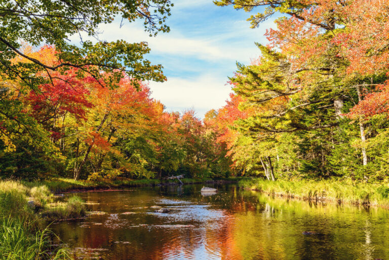 Best Places to See the Fall Colours in Nova Scotia | Nova Scotia Bucketlist