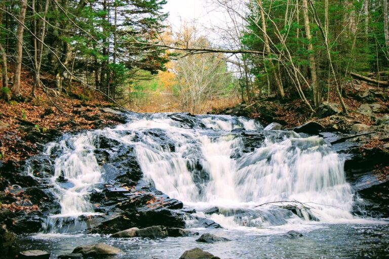 The Best Waterfalls near Halifax | Nova Scotia Bucketlist