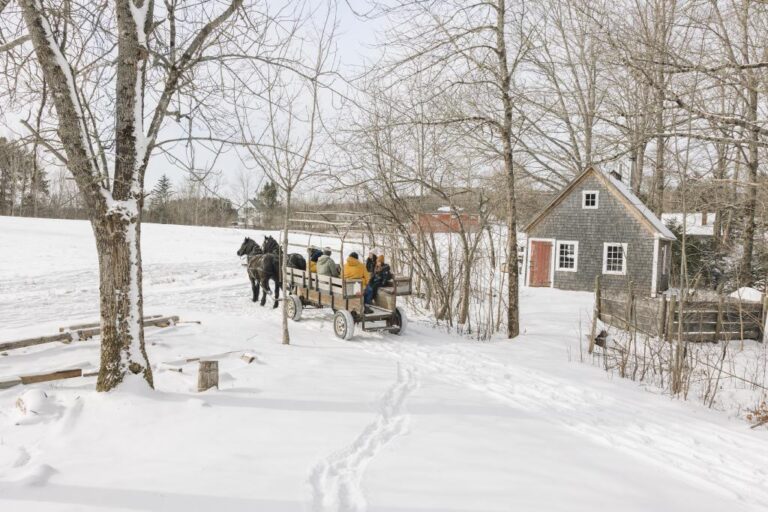 10 Festive Things to Do in Nova Scotia in December | Nova Scotia Bucketlist