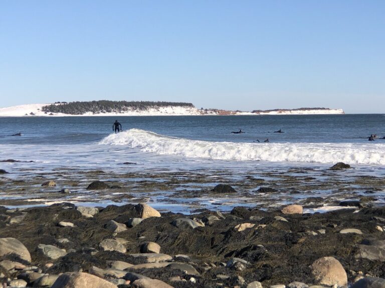21 Fun Things To Do in Halifax in the Winter | Nova Scotia Bucketlist